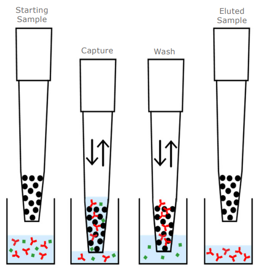 High-throughput Protein Purification Strategies