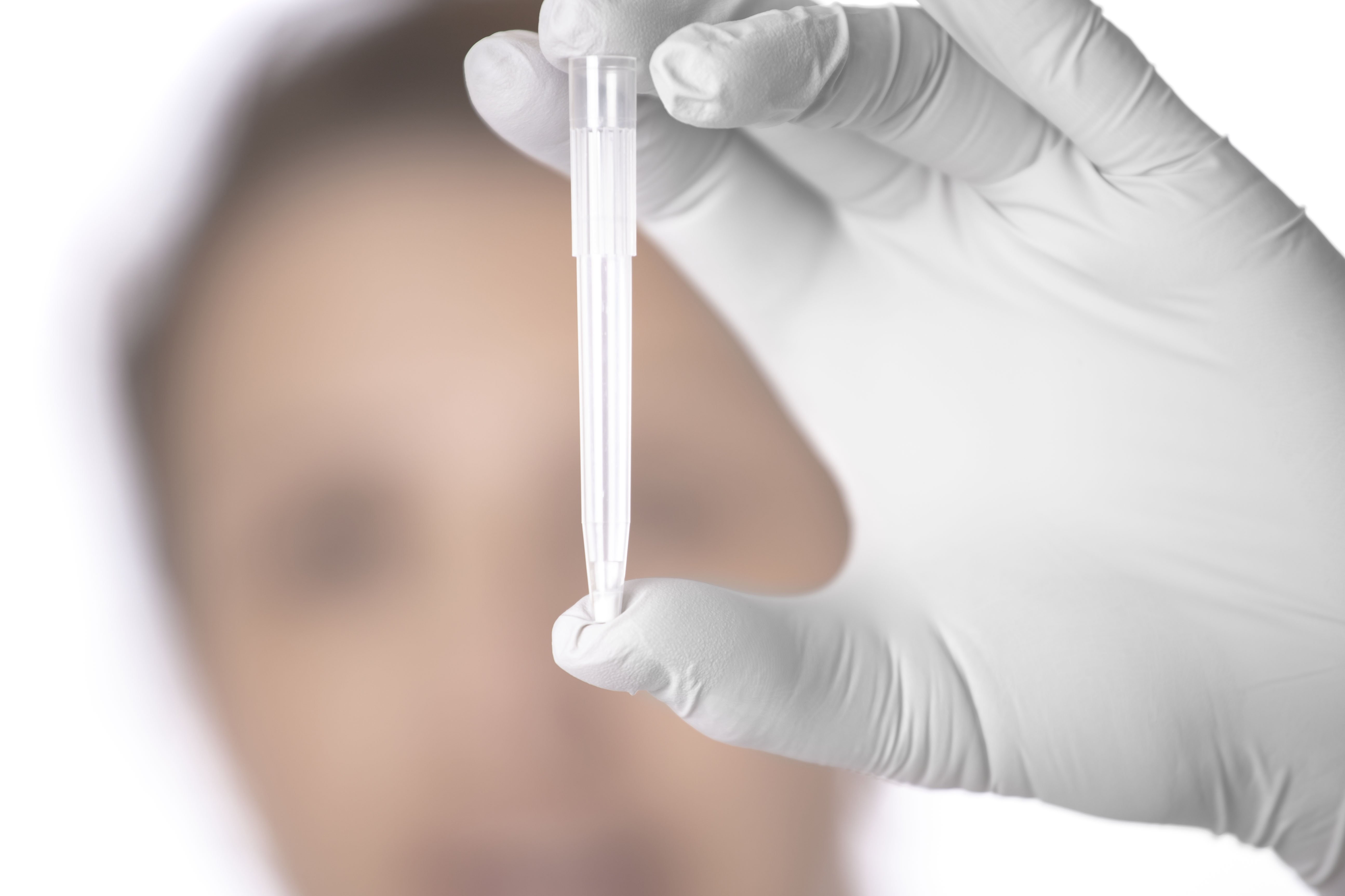 Purification of transfection-grade sequencing ready plasmid DNA.