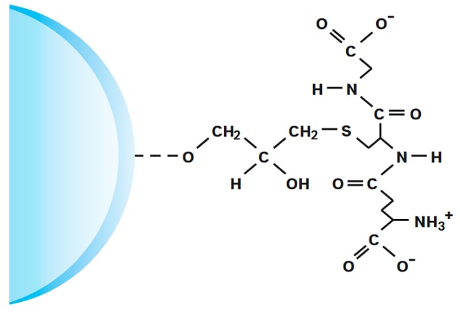 How to choose between affinity tags for protein purification | Biotage