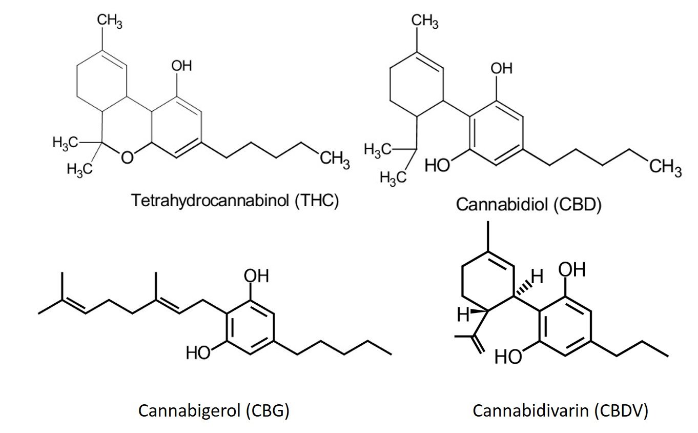 Isolation of some minor cannabinoids using flash chromatography