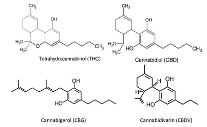 Isolation of some minor cannabinoids using flash chromatography