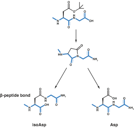 Five Tips and Tricks for Success in Solid Phase Peptide Synthesis