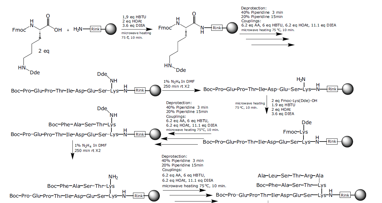 Automated synthesis of a complex multibranched peptide using the ...