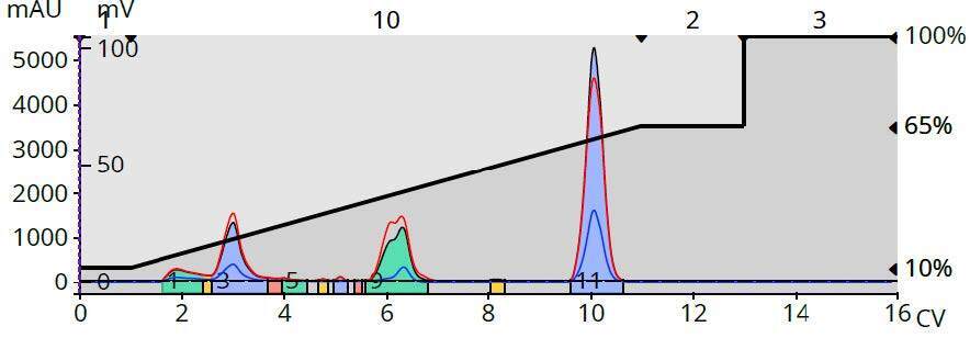 Two-step gradient optimization to improve and simplify flash ...
