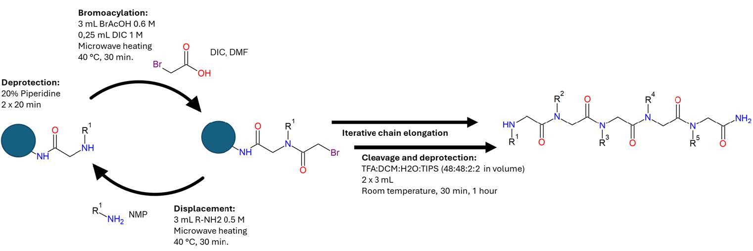 Synthesis of long peptoid molecules for nanomaterial assembly on ...