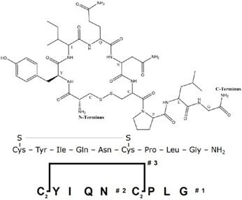 Fully automated optimized synthesis, on-resin oxidation, and ...