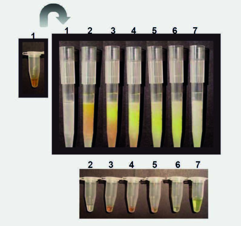 Gel Filtration PhyTip® columns packed with 5k size exclusion resin: automated high-throughput ...