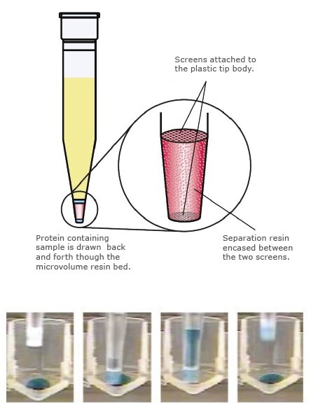 A novel approach to automated high-throughput protein enrichment and ...