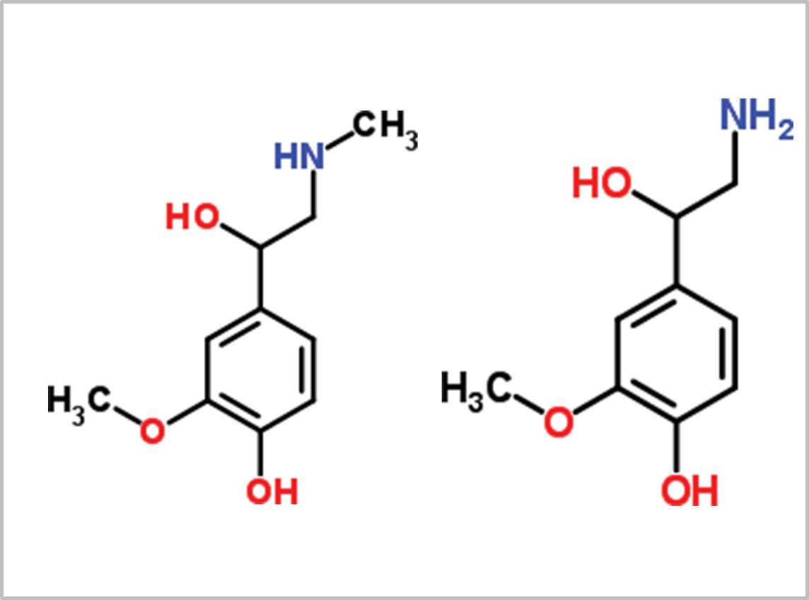 Fast extraction of metanephrine and normetanephrine from pooled plasma ...