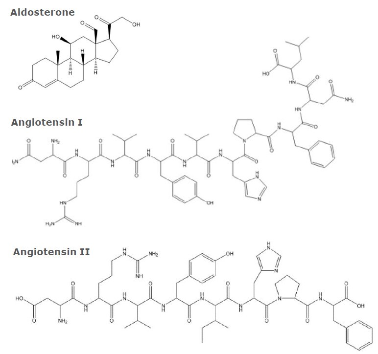 Simultaneous extraction of aldosterone and angiotensin I and II from ...