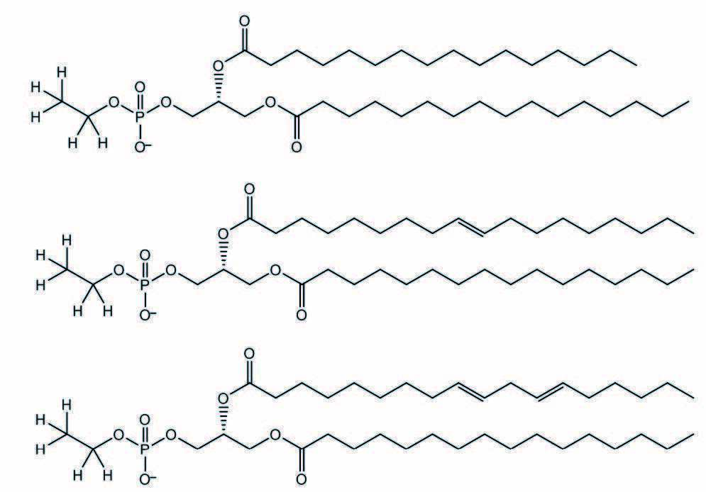 Extraction of PEth biomarkers in human whole blood using ISOLUTE® SLE+ ...