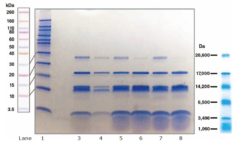 C18 PhyTip® column for protein and peptide clean-up | Biotage