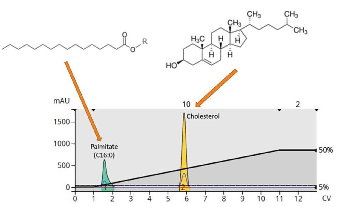 Towards large scale flash purification of lipids | Biotage