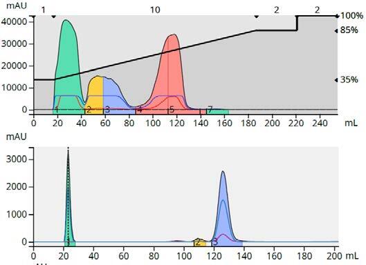 How to determine reversed-phase flash chromatography loading capacity ...