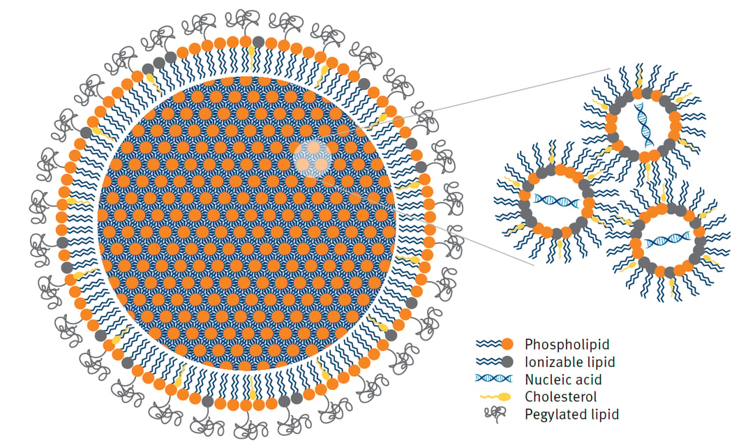 Supplying lipids in the global response to COVID-19 and mRNA vaccine ...