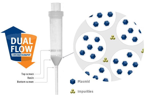 Tired of tedious manual plasmid DNA preparations?