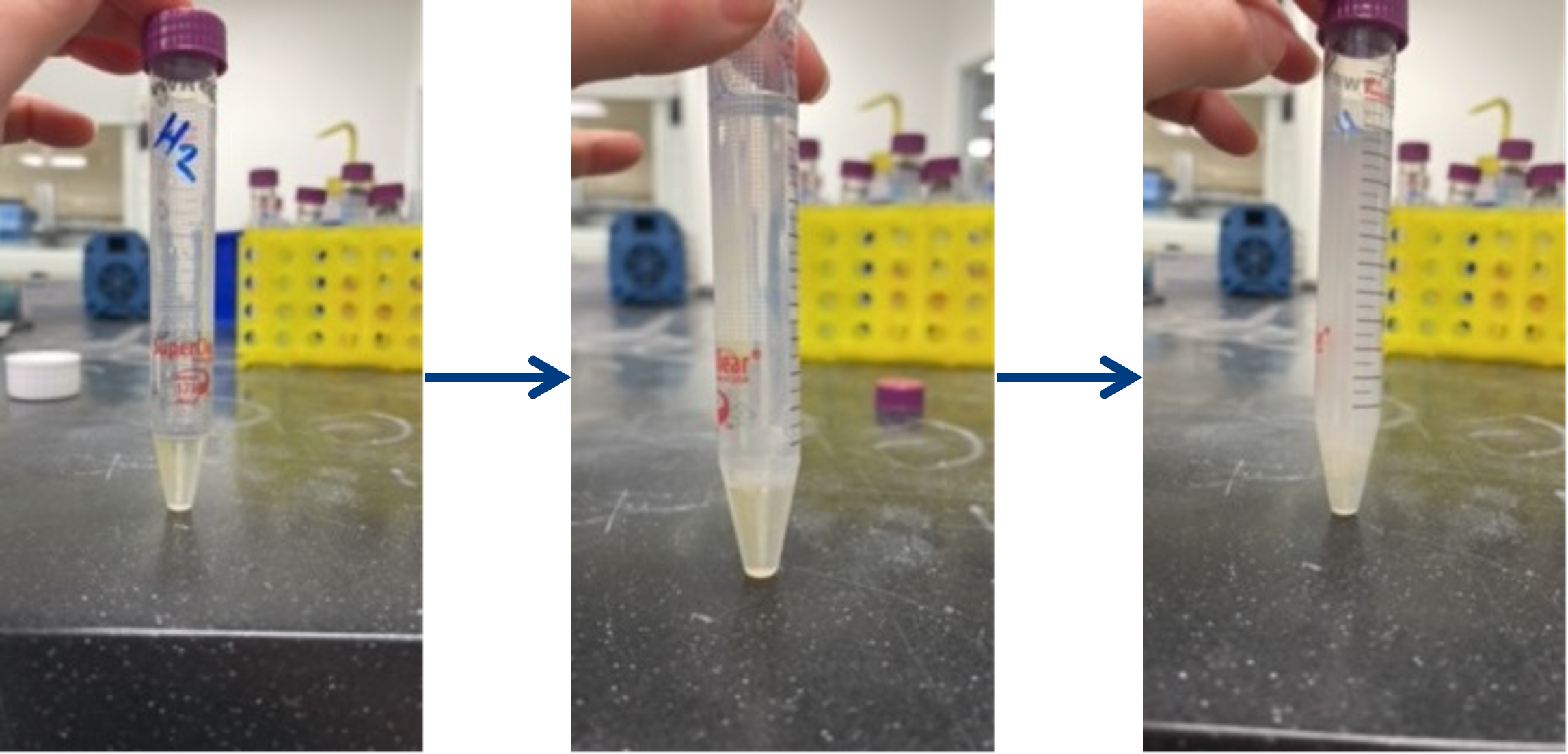 Does media choice matter for peptide library purification using solid ...