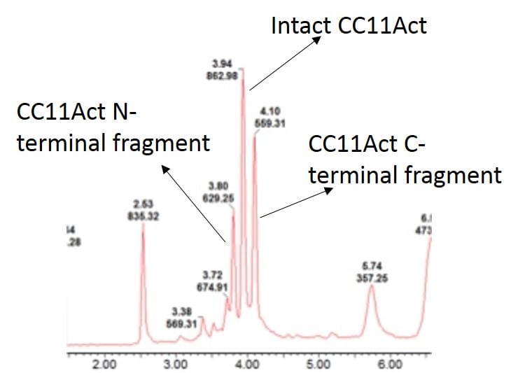Has my peptide undergone an aspartimide rearrangement? | Biotage