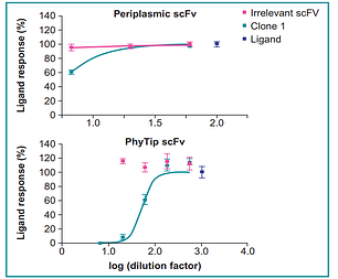 Exploring the Applications of PhyTip Columns Through Many Areas in ...