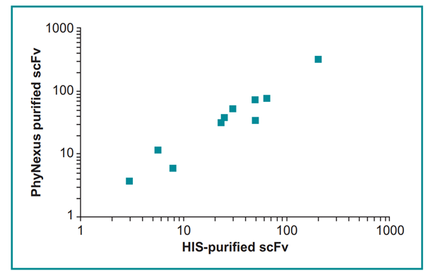 Exploring the Applications of PhyTip Columns Through Many Areas in ...