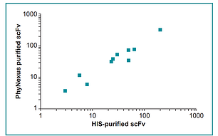 Exploring the Applications of PhyTip Columns Through Many Areas in ...
