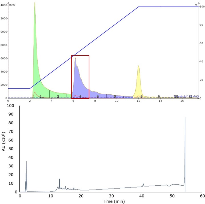 Optimizing a mobile phase gradient for peptide purification using flash ...
