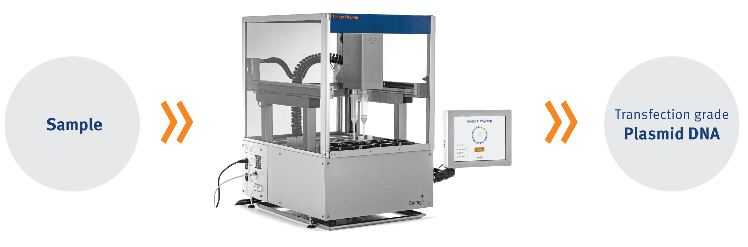 Tired of tedious manual plasmid DNA preparations?