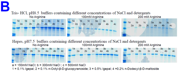 Exploring the Applications of PhyTip Columns Through Many Areas in ...