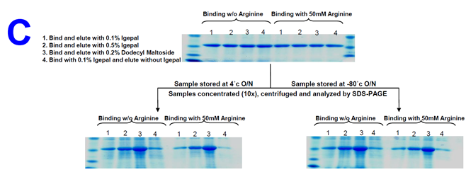 Exploring the Applications of PhyTip Columns Through Many Areas in ...