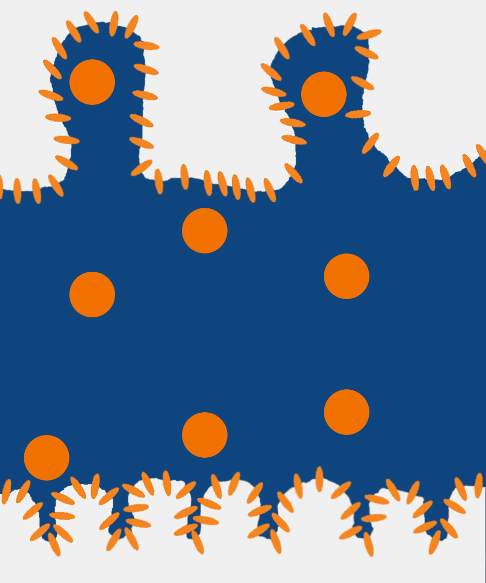 How To Select a Pore Size for C18 Reversed Phase Chromatography | Biotage