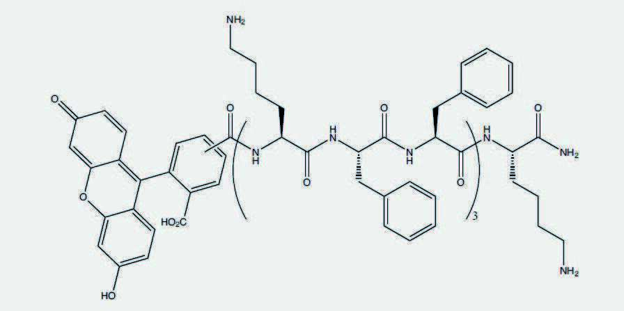 Small μmol scale synthesis of a labelled antimicrobial peptide using ...
