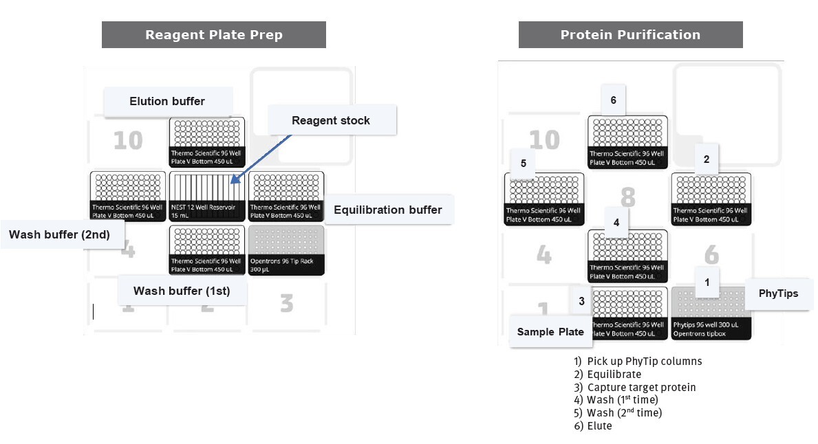 Automated protein purification with PhyTip® columns on the OT-2 | Biotage