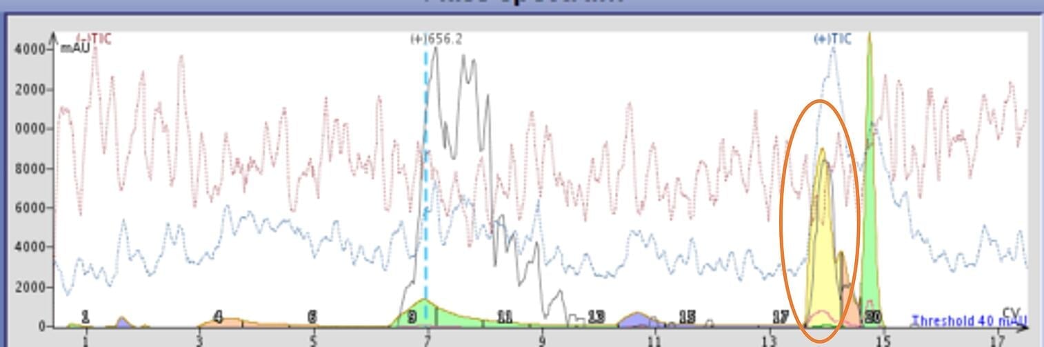How to prevent breakthrough during your peptide purification with flash ...