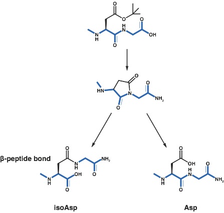 Has my peptide undergone an aspartimide rearrangement? | Biotage