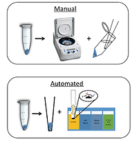 Exploring the Applications of PhyTip Columns Through Many Areas in ...