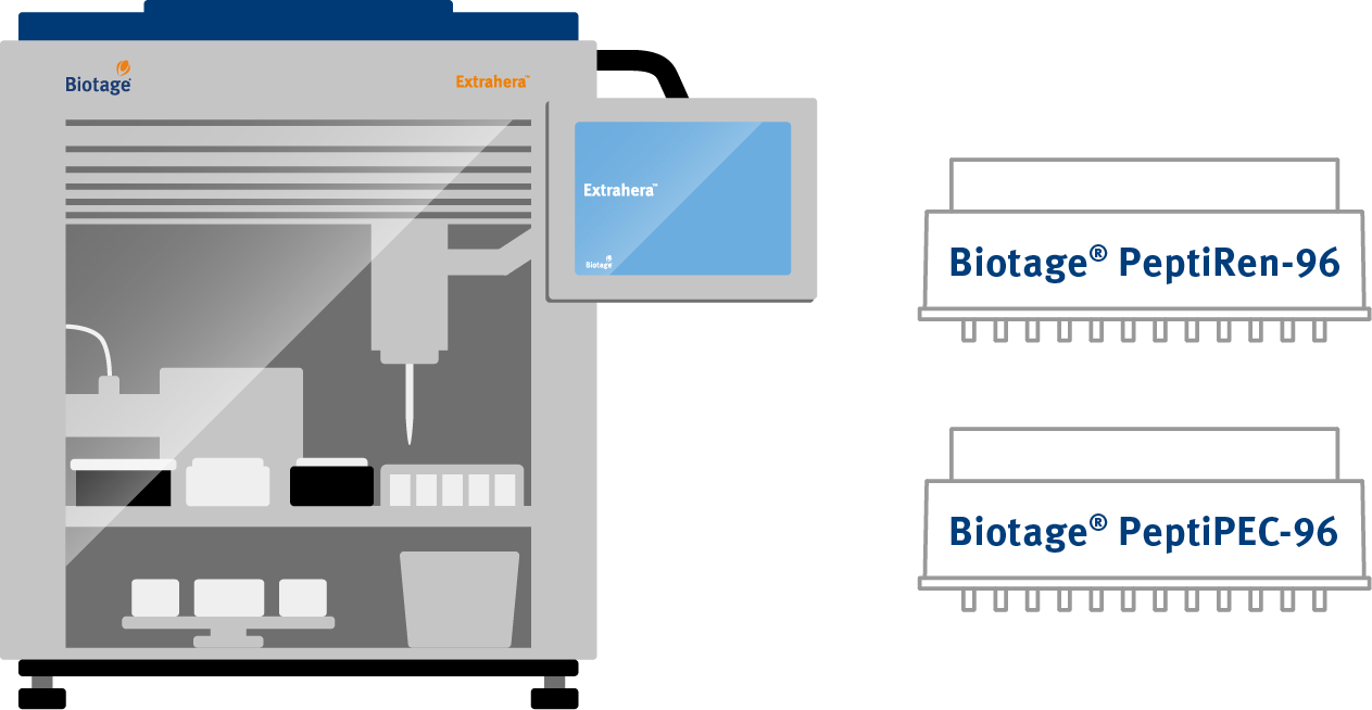 Peptide Synthesis Workflow